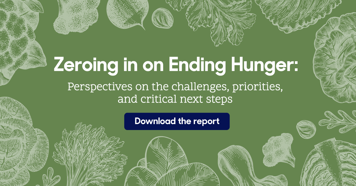 Zeroing in on Ending Hunger: Perspectives on the challenges, priorities ...